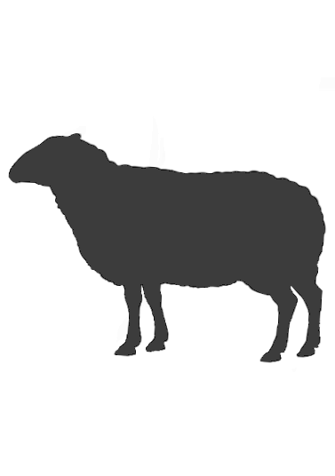 OVCE, KOZY a LAMY - ZooArcha